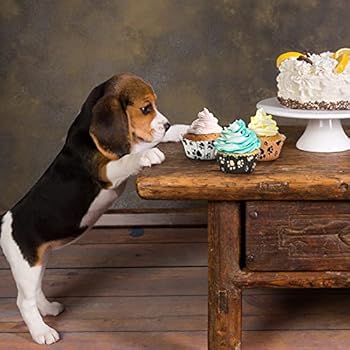 Can A Dog Eat A Muffin Wrapper