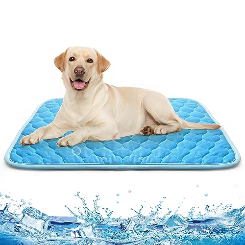Top 10 Best Cooling Matt For Dogs : Reviews & Buying Guide - Katynel