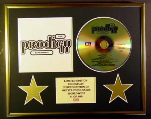 THE PRODIGY/CD DISPLAY/LIMITED EDITION/COA/THE PRODIGY EXPERIENCE ...