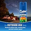 Amazon.com: Cutter Backwoods High DEET Insect Repellent 11 oz, Aerosol ...