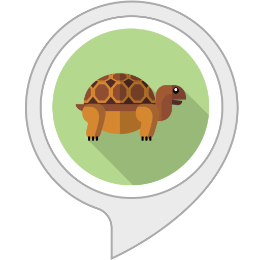 Amazon.in: Turtle facts : Alexa Skills