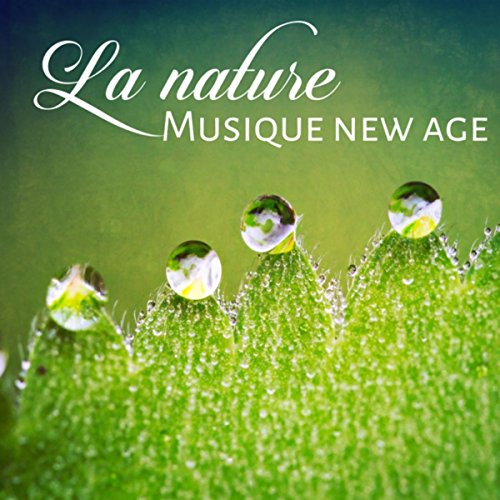 Amazon.com: La nature (Musique new age, Sons pour équilibre intérieur ...