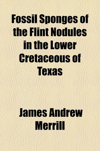 Fossil Sponges of the Flint Nodules in the Lower Cretaceous of Texas ...