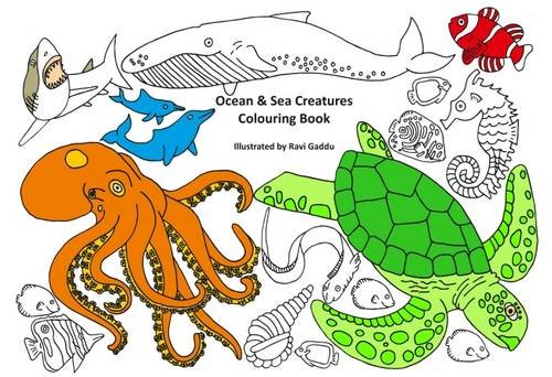 Ocean and Sea Creatures Colouring Book: Amazon.co.uk: Gaddu, Ravi ...