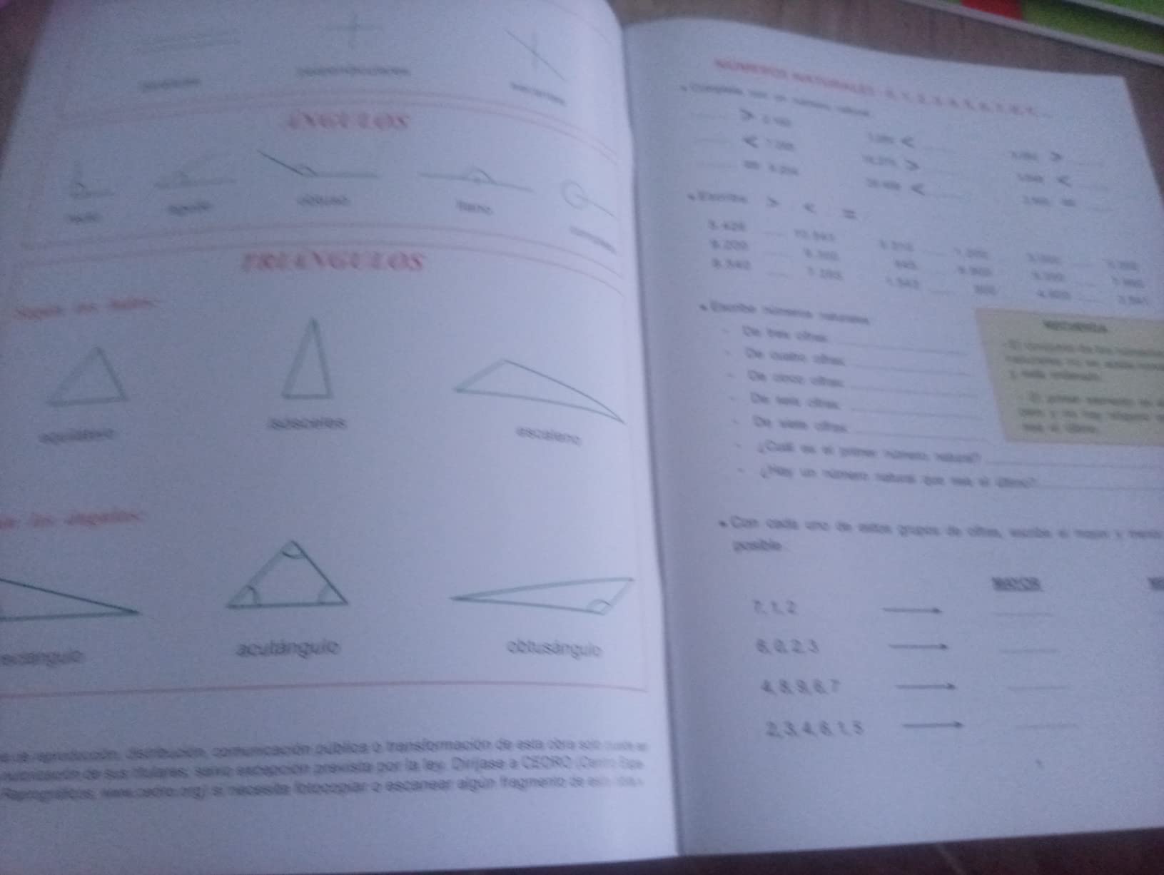 Cuaderno De Matemáticas. Puente 5º Curso Primaria. Ejercicios Básicos ...