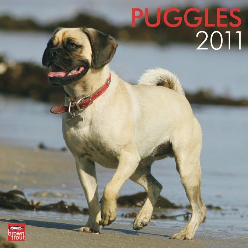 Puggles 2011 Calendar: Browntrout Publishers Inc.: 9781421668147 ...
