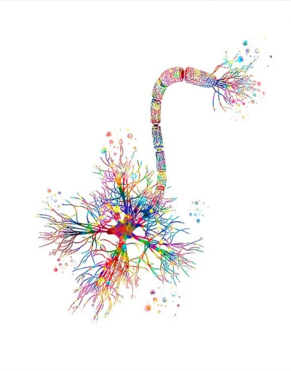Nerve Synapse Art