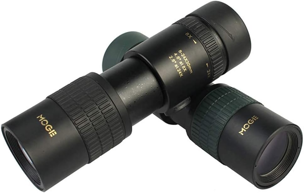 Barny Chocolate Sponge Bear - Kids' Snack, 5 Pack, Nepal | Ubuy