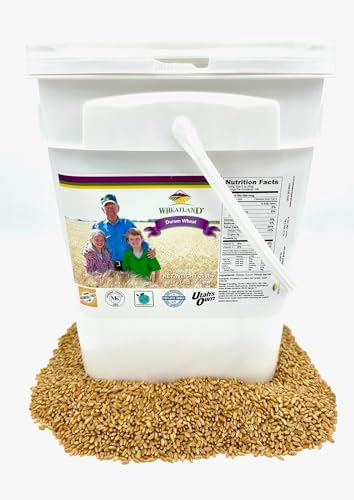 Amazon.com : Durum Wheat Berries I Wheatland I 20lb Bucket I 25 Year ...