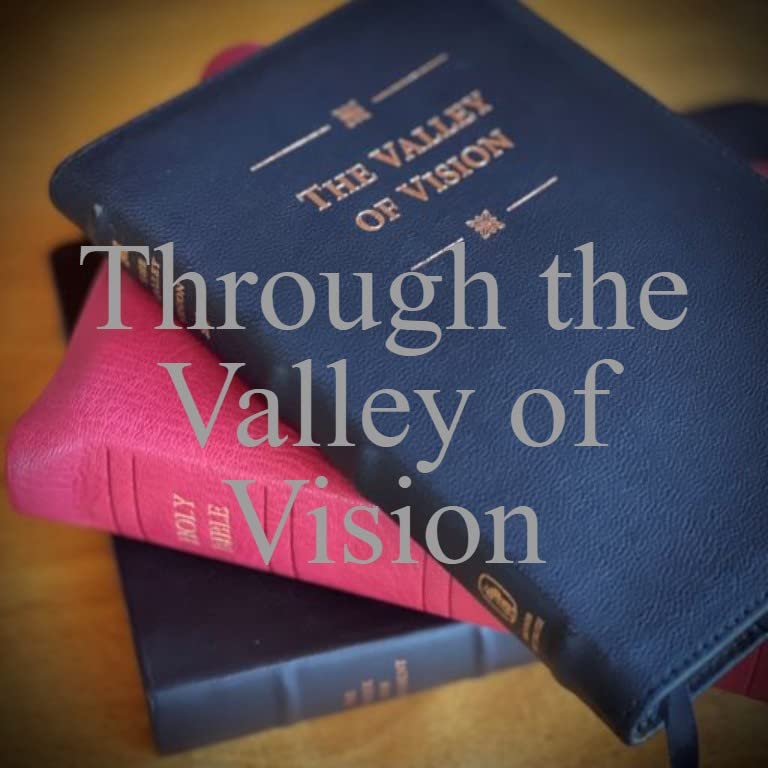 Through the Valley of Vision : srmillerick: Amazon.ca: Audible Books ...