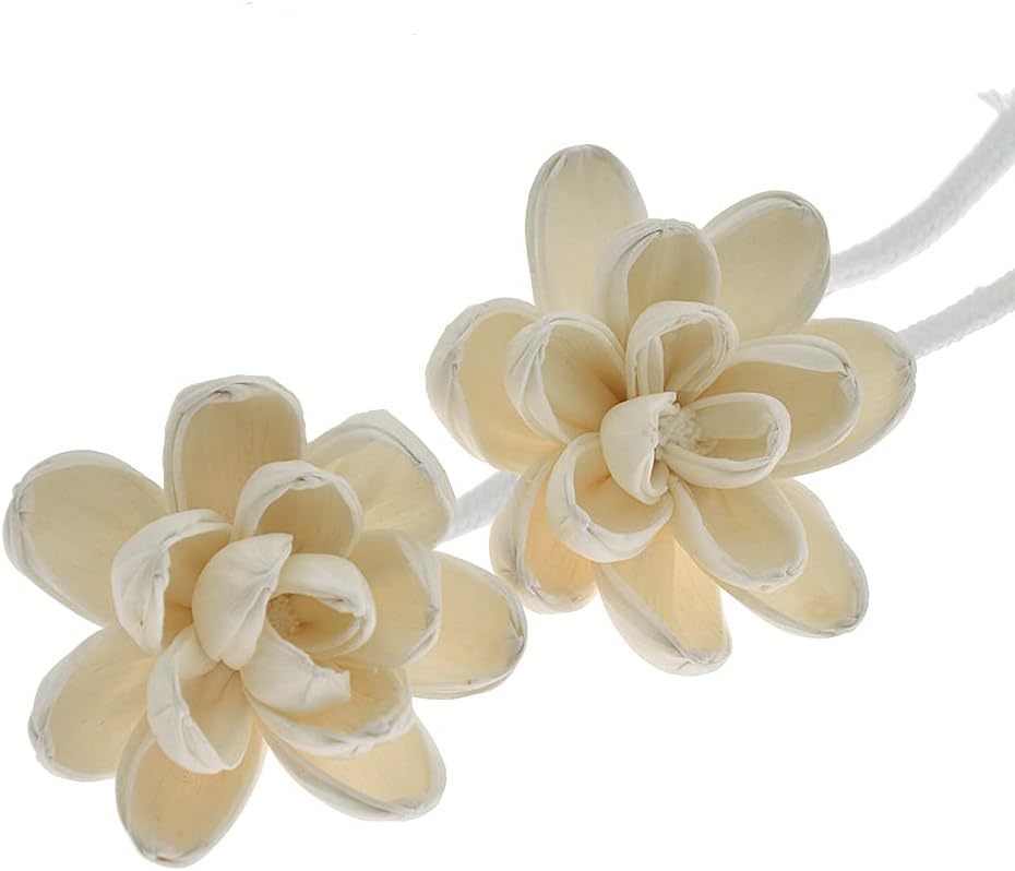 Amazon.com: LOOGOOL 2Pcs Flower Head Diffusers with Cotton Wick for ...