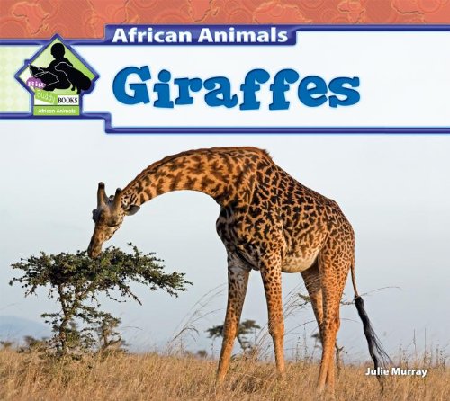 Giraffes (African Animals): Murray, Julie: 9781617832192: Amazon.com: Books