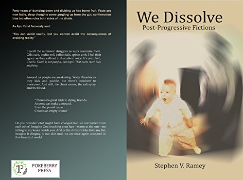 We Dissolve - Kindle edition by Ramey, Stephen. Literature & Fiction ...