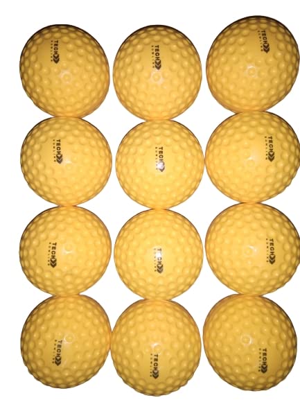 Techbowling My Cricket Buddy Balls | (Pack of 12) | PU Dimple Balls ...