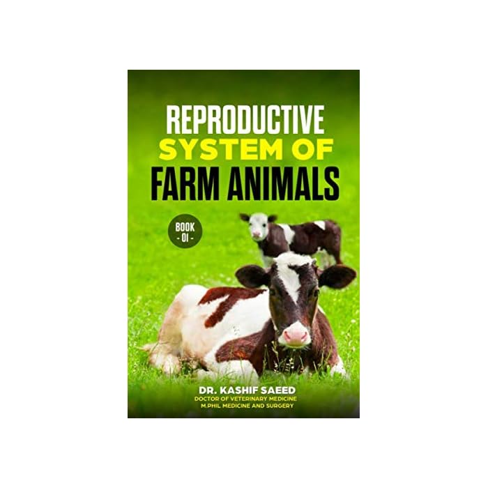 Buy Reproductive System of Farm Animals: Anatomy and Physiology of Male ...