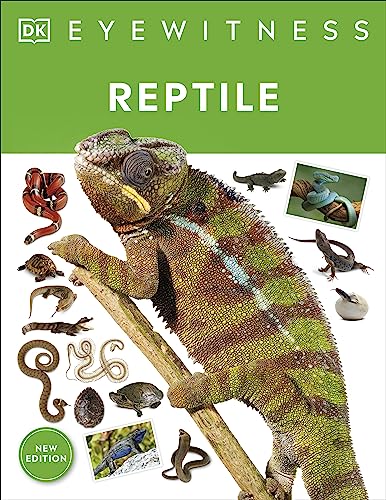 Reptile (DK Eyewitness) - Kindle edition by DK. Children Kindle eBooks ...
