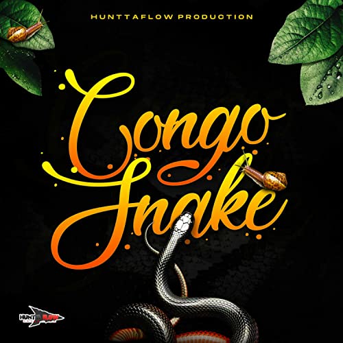 Play Congo Snake by VARIOUS ARTISTS on Amazon Music