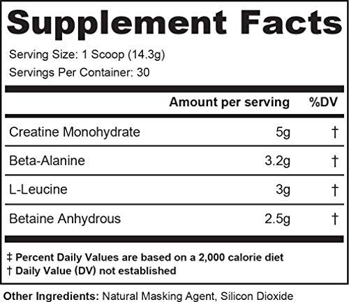 Fundamentals Intra or Post Workout Recovery Drink: 4 Key Ergogenic Aids ...