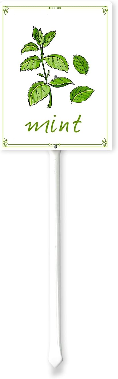 Amazon.com : Houseuse Mint Sign With Stake Vegetable Garden Sign For ...