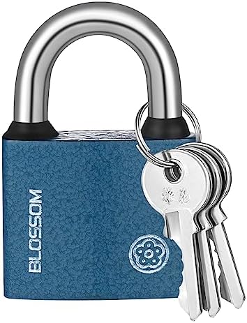 RosewineC Heavy Duty Padlock, Iron Padlock with 3 Keys, Weatherproof ...