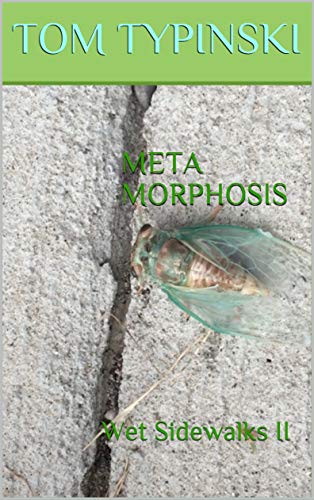 Meta Morphosis: Wet Sidewalks II (Twenty Two Book 5) eBook : Typinski ...