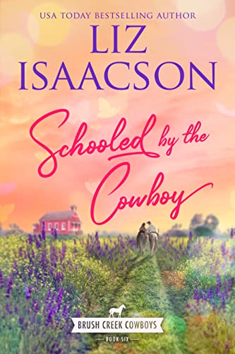 Schooled by the Cowboy: Christian Contemporary Western Romance (Brush ...