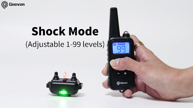 Watch Electronic Dog Training Collars Instructions on Amazon Live