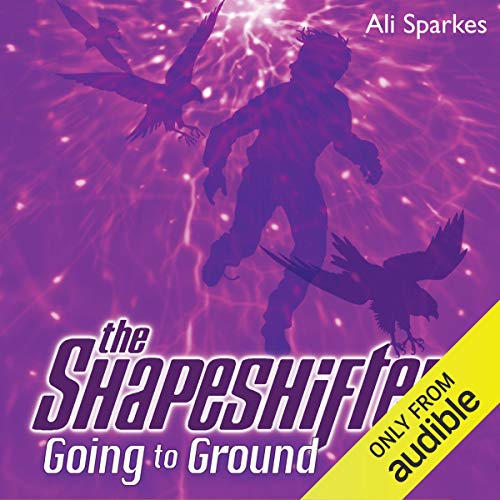 The Shapeshifter: Stirring the Storm: Storm Shapeshifter Series, Book 5 ...