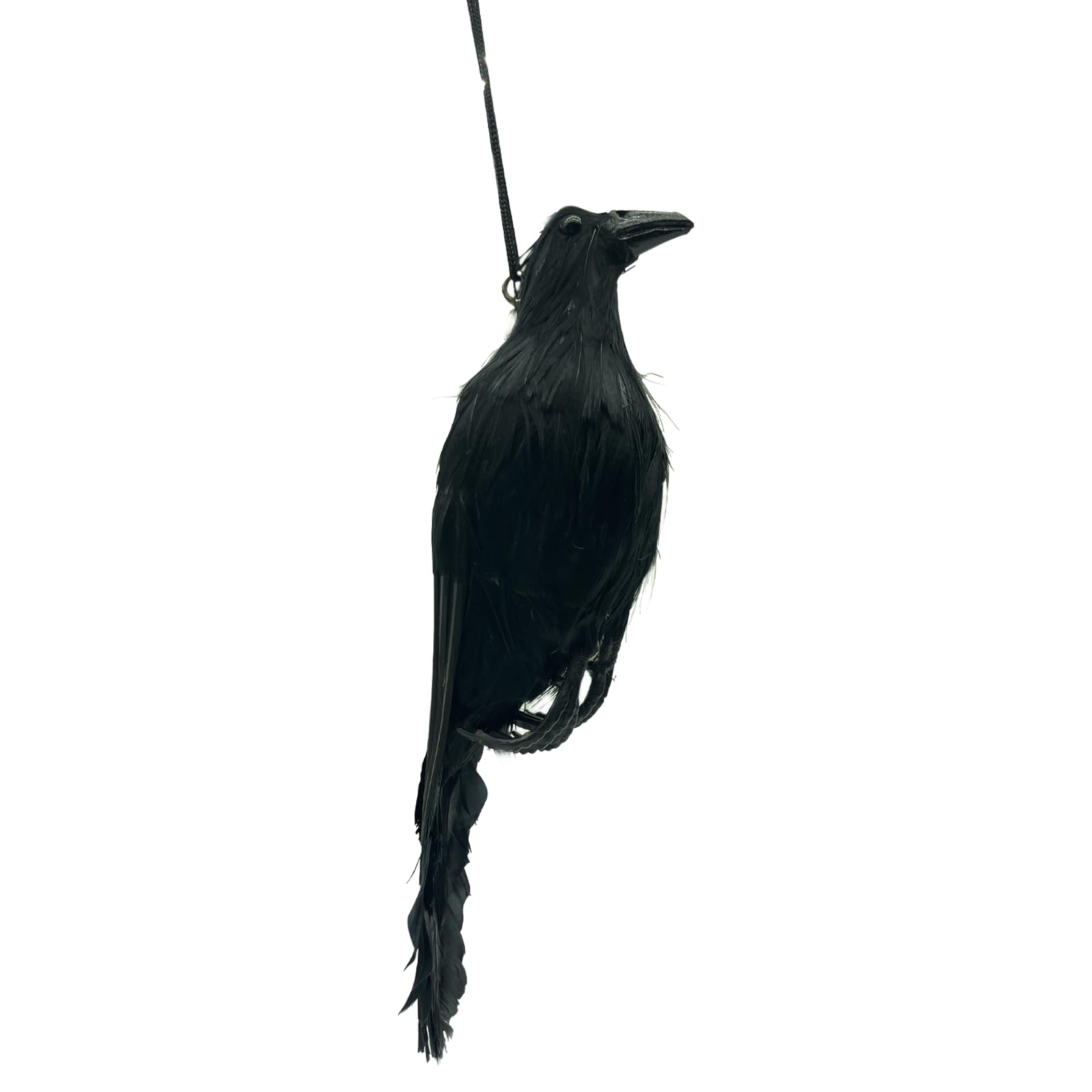Amazon.com: TUSAUW Realistic Hanging Dead Crows Decoy Life Size Black ...