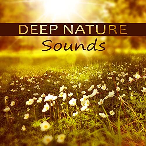 Amazon MusicでClose to Nature Music EnsembleのDeep Nature Sounds – Calm ...