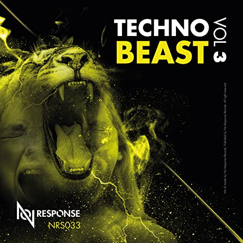 Techno Beast, Vol. 3 von VARIOUS ARTISTS bei Amazon Music - Amazon.de
