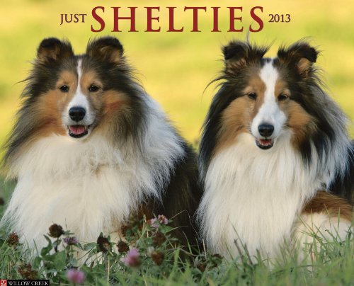 Just Shelties Calendar 2013: Willow Creek Press Inc.: 9781607556343 ...