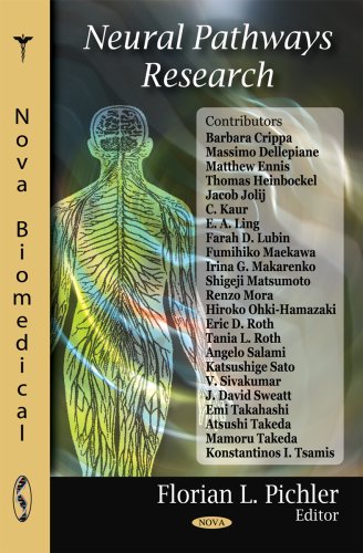 Neural Pathways Research: Pichler, Florian L., Crippa, Barbara ...