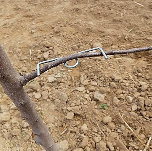 Amazon.com : WLSANX Fruit Tree Branches Fruit Tree Branch Spreader ...