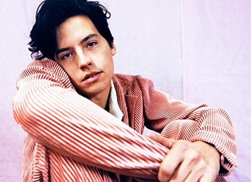Cole Sprouse Poster Matte Finish Paper Print (Multicolor) S-4499 ...