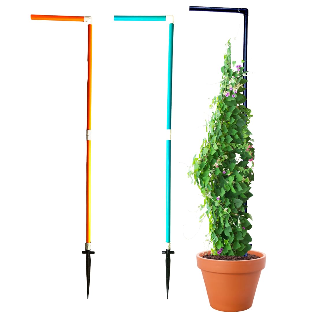 Plant Support Pole for Creepers & Long Plant Support Sticks 5 Feet ...