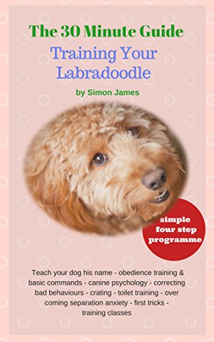 Labradoodle Training: The 30 Minute Guide To Training Your Labradoodle ...