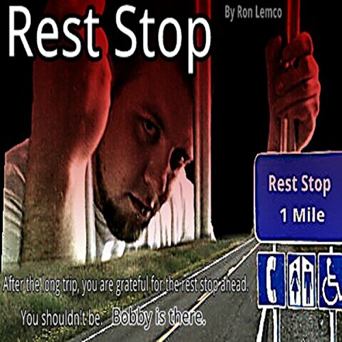 Amazon.com: Rest Stop (Audible Audio Edition): Ron Lemco, Tim Halligan ...