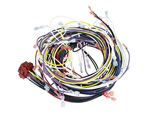 Amazon.com: BLODGETT R10850 Wiring Harness : Industrial & Scientific