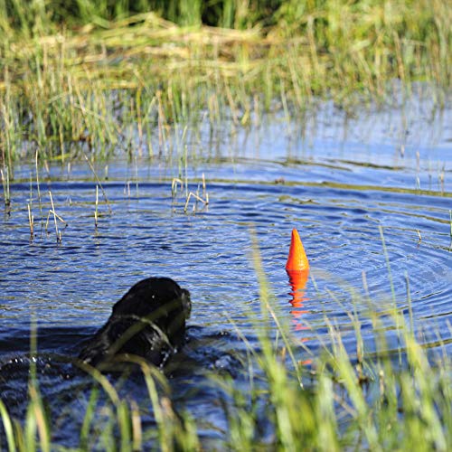 ChuckIt! Amphibious Shark Fin Dog Toy, Large (Colors Vary) - Want It All
