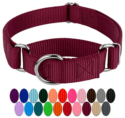 Top 9 Best Dog Collars For Greyhounds 2023 – Review & Buyer’s Guide ...