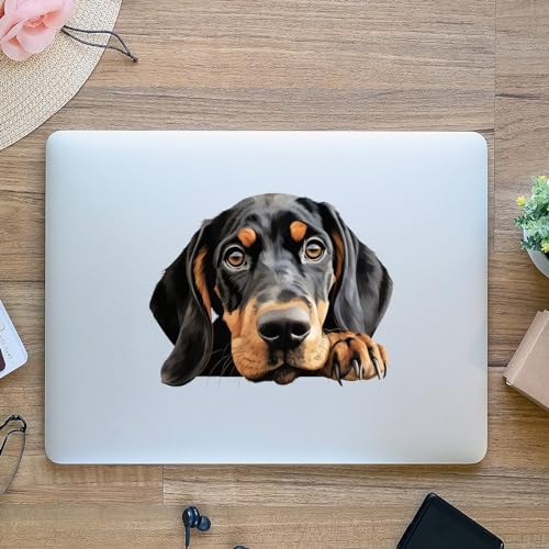 10 Best Coon Dog Boxes for Trucks [2025]