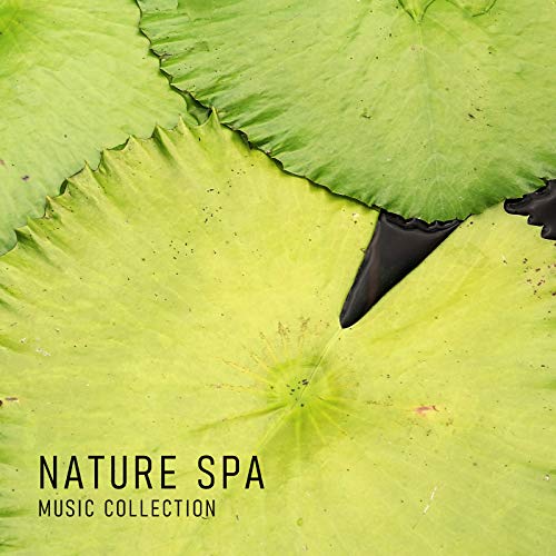 Amazon Music Unlimited - The Calming Sounds of Nature & Relaxing Spa ...