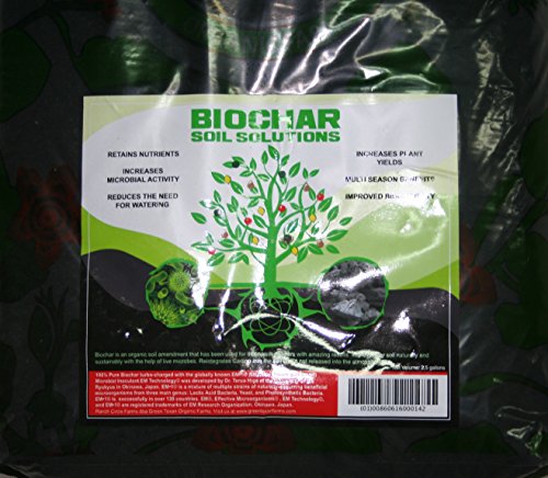 Biochar Energy as a Carbon Based Soil Amendment