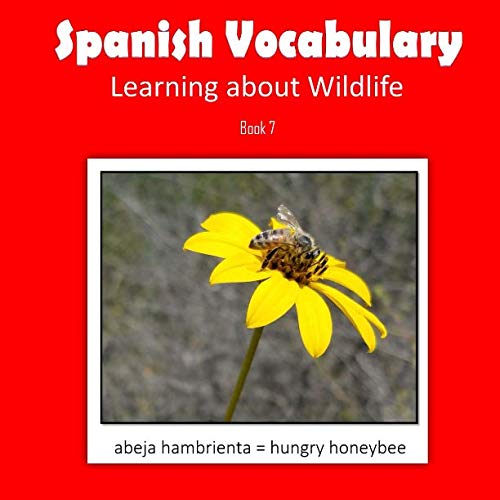 Amazon.com: Spanish Vocabulary: Learning about Wildlife (Spanish ...
