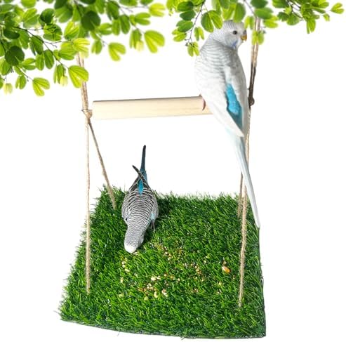 Amazon.com : FlidRunest Bird Swing Mat with Wood Perch, Lawn Swing ...