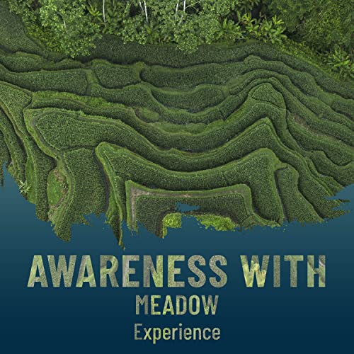 Amazon Music - VARIOUS ARTISTSのzZz Awareness with Meadow Experience zZz ...