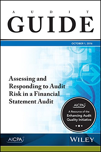 Buy Assessing and Responding to Audit Risk in a Financial Statement ...