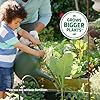 Amazon.com : Back to The Roots Organic All-Purpose Plant Food (5 lb ...