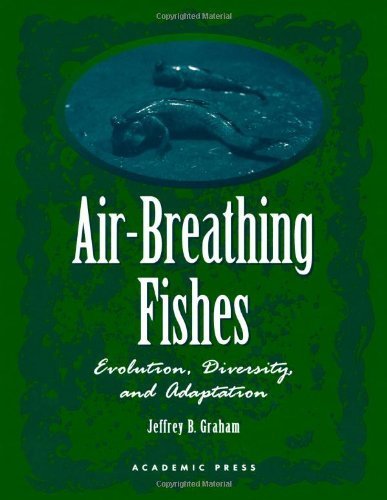 Amazon | Air-Breathing Fishes: Evolution, Diversity, and Adaptation ...